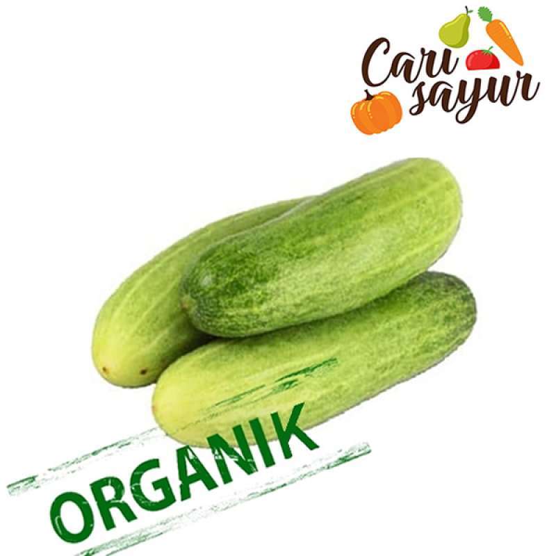 Jual CARI SAYUR - Timun Lokal Organik [1 kg/pack] di Seller Cari Sayur ...