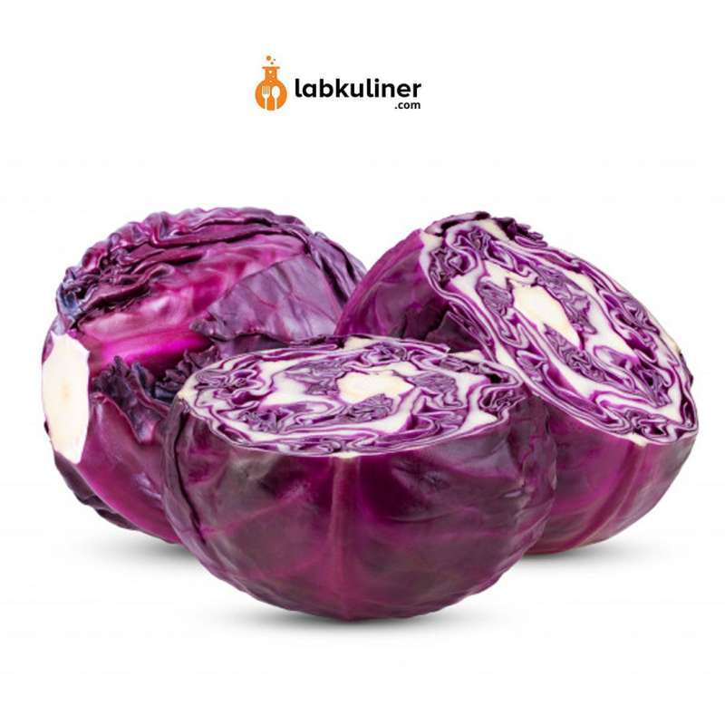 Promo Sayuran Segar Kol Ungu - Kol Merah 1kg Diskon 6% Di Seller Lab ...