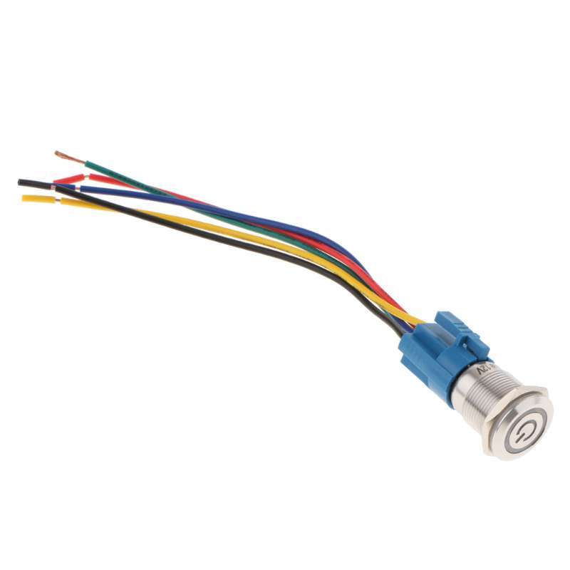 Jual 19mm 12v 5a Metal Car Push Button Switch Self-locking With Power ...