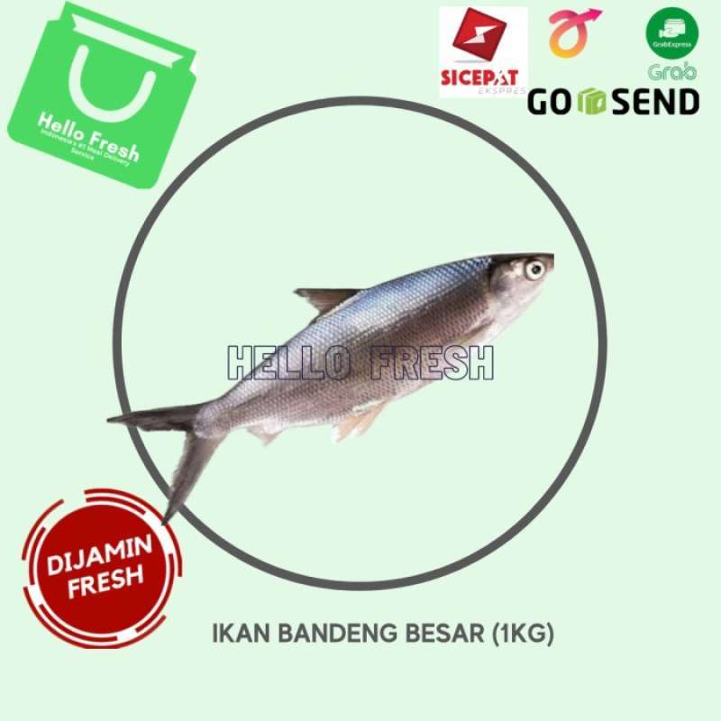 Jual Ikan Bandeng Segar (1kg) Jumbo Di Seller Hello Fresh Id - Cipete ...