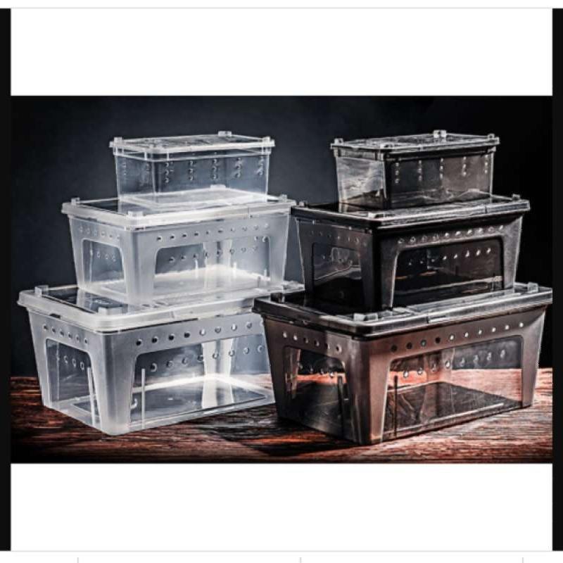 Jual Kandang Tarantula Enclosure Tarantula Box Reptil S 19x12.5x7.5cm ...