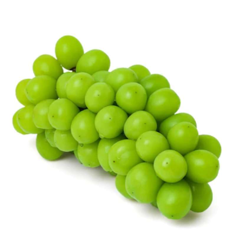 Jual Anggur Hijau Shine Muscat 1 (pack/450-500g) - Buah Above Di Seller ...