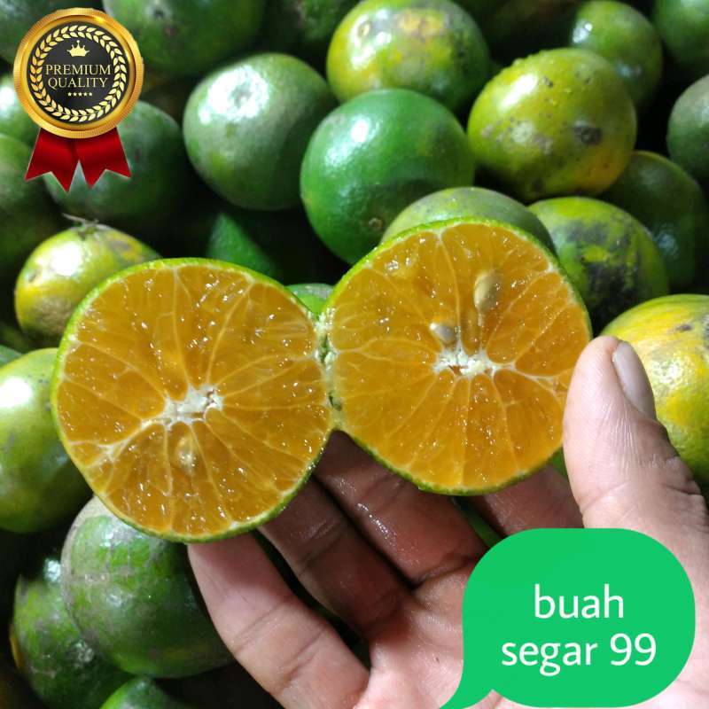 Jual jeruk siam/jeruk peras /jeruk jember fresh manis kg Halal di ...