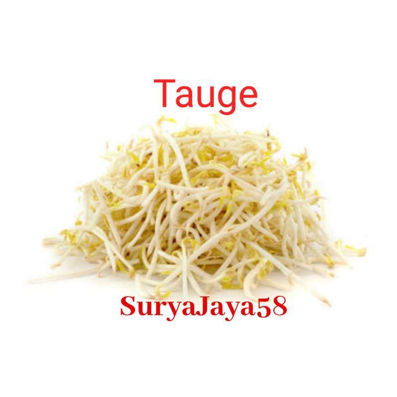 Jual Tauge | Toge | Toge Lokal 100gr Di Seller Suryajaya58 - Kebayoran ...