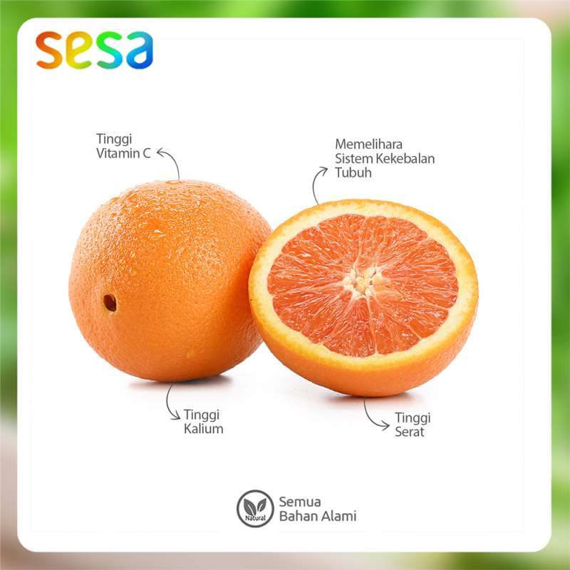 Jual Jeruk Navel 1 Kg Di Seller Sesa Official Store - Sesa Organic ...