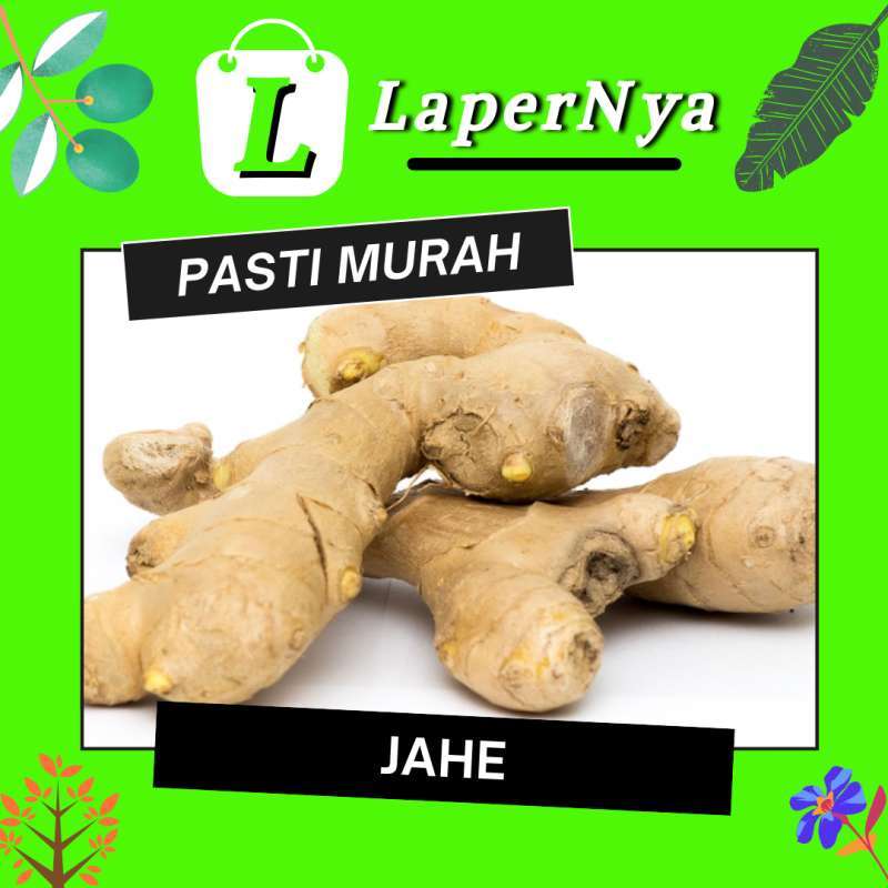 Jual JAHE BESAR / JAHE GAJAH BERAT 1 KG di Seller LaperNya - Kota ...
