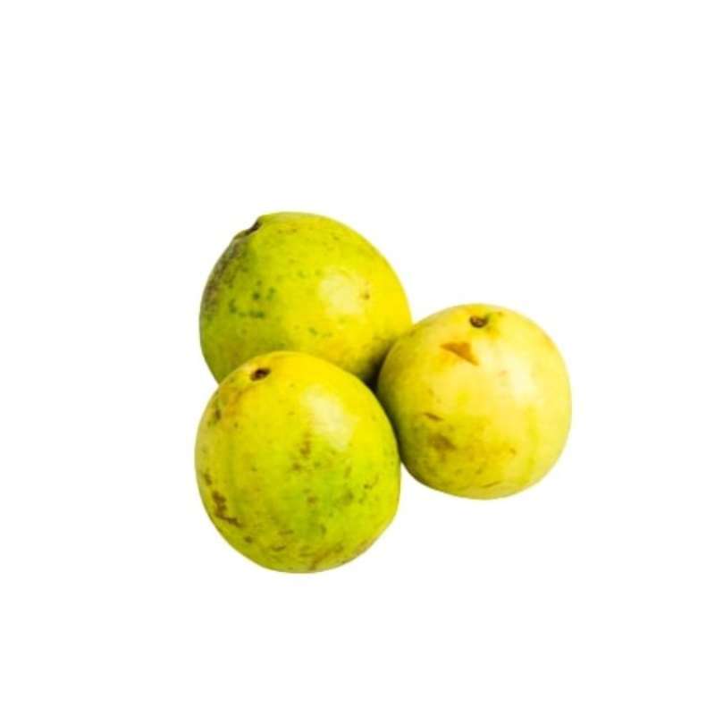 Jual Jambu batu merah 1kg di Seller Ranch Market The Breeze BSD ...