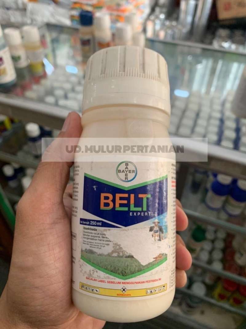Jual Insektisida bayer BELT EXPERT 480SC 250ml di Seller UD PANEN RAYA ...