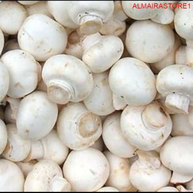 Jual Sayuran Sayur FRESH Jamur Kancing / Jamur Champignon 100 Gram ...