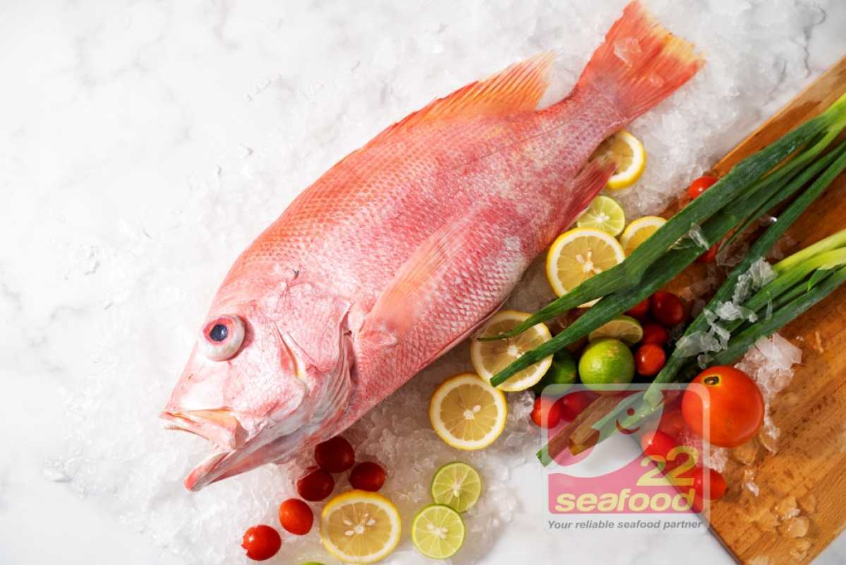 Jual Ikan Kakap Merah Utuh Frozen - 22 Seafood Halal di Seller 22 ...