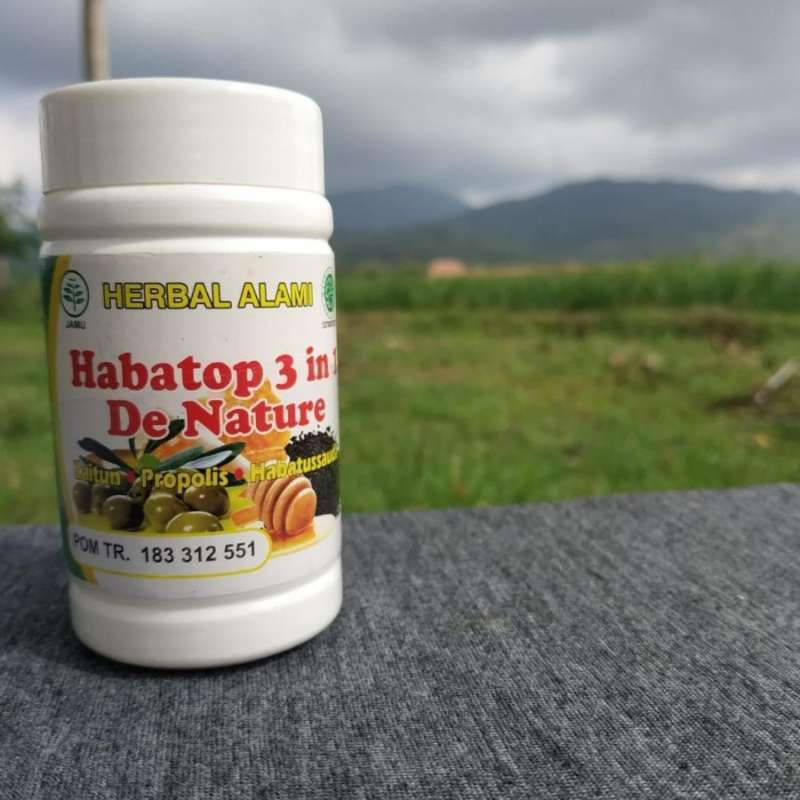 Jual OBAT PENAMBAH GIZI KEHAMILAN DAN KESUBURAN RAHIM [PROMIL] HERBAL ...