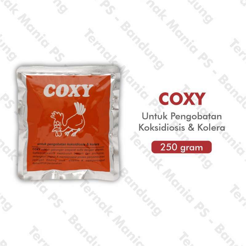 Jual Medion Juni 2024 100% Original – Official Store Indonesia | Blibli