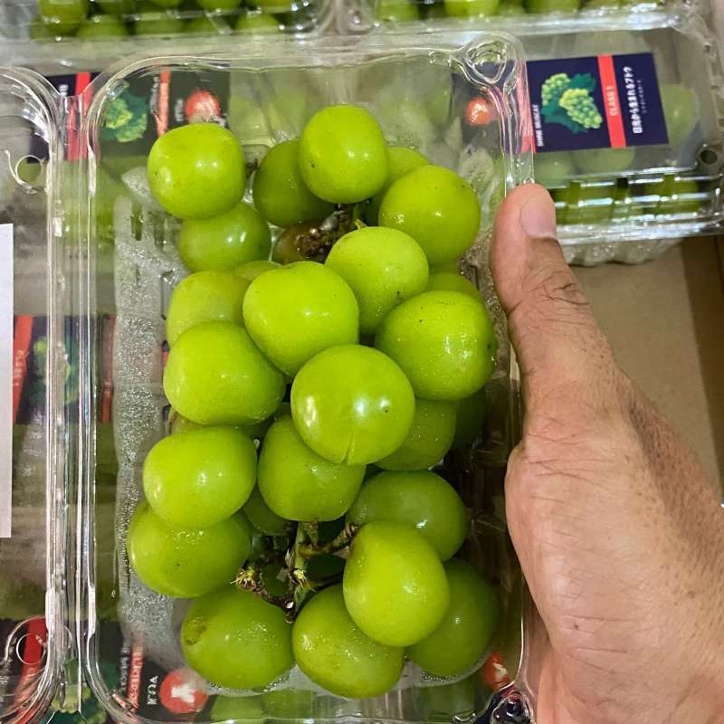 Jual Anggur Hijau Shine Muscat / Kg Di Seller Buah Kita Makassar - Jl ...