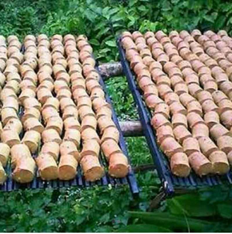 Jual Getah Gambir Basah Murni 1000gram 1kg Daerah Mudiek Koto Ana ...