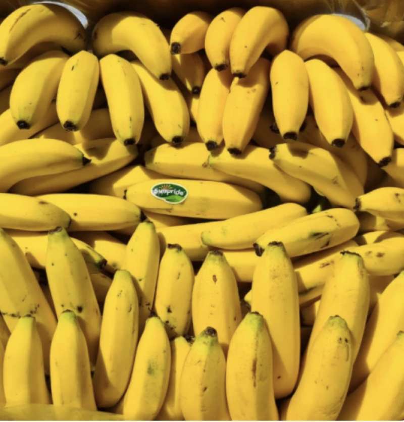 Jual Pisang Sunpride Halal di Seller SayurSegar - Kembangan Utara, Kota ...