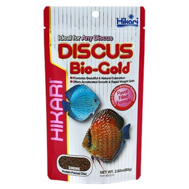 Ikan Discus - Harga Terbaru Juli 2024 & Gratis Ongkir | Blibli