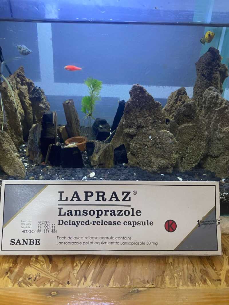 Jual Laprazs box di Seller Medical Olshop 12 - Rawamangun, Kota Jakarta ...