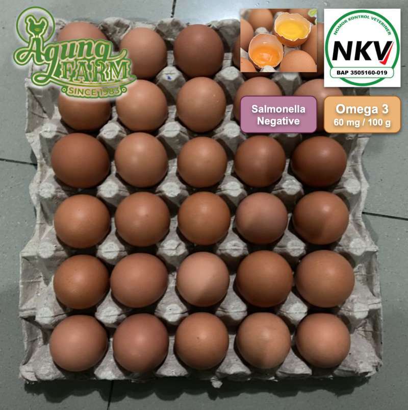 Jual Telur Agung Farm Telur Ayam Negri Negeri per 1 papan 30 butir ...