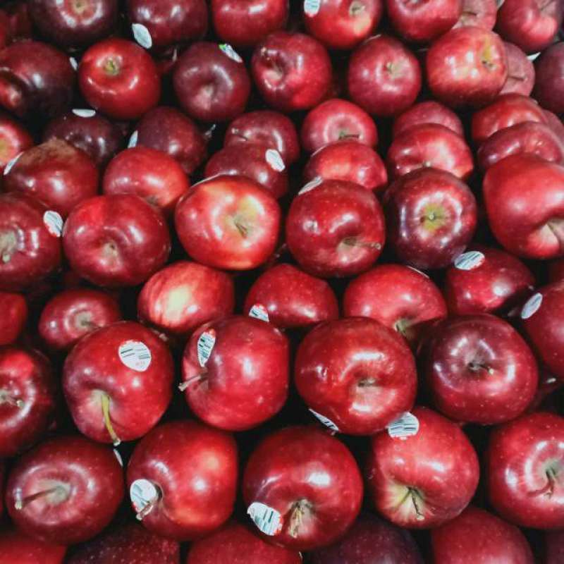 Jual Apel Merah 1kg Apel Merah Segar Buah Fresh Buah Bandung Terlaris ...