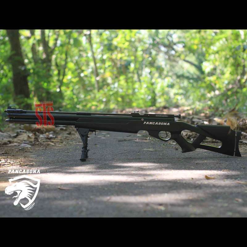 Jual Senapan Angin Gas Pancasona Dobel Tabung 25/60 Gamo Hitam Magazin ...