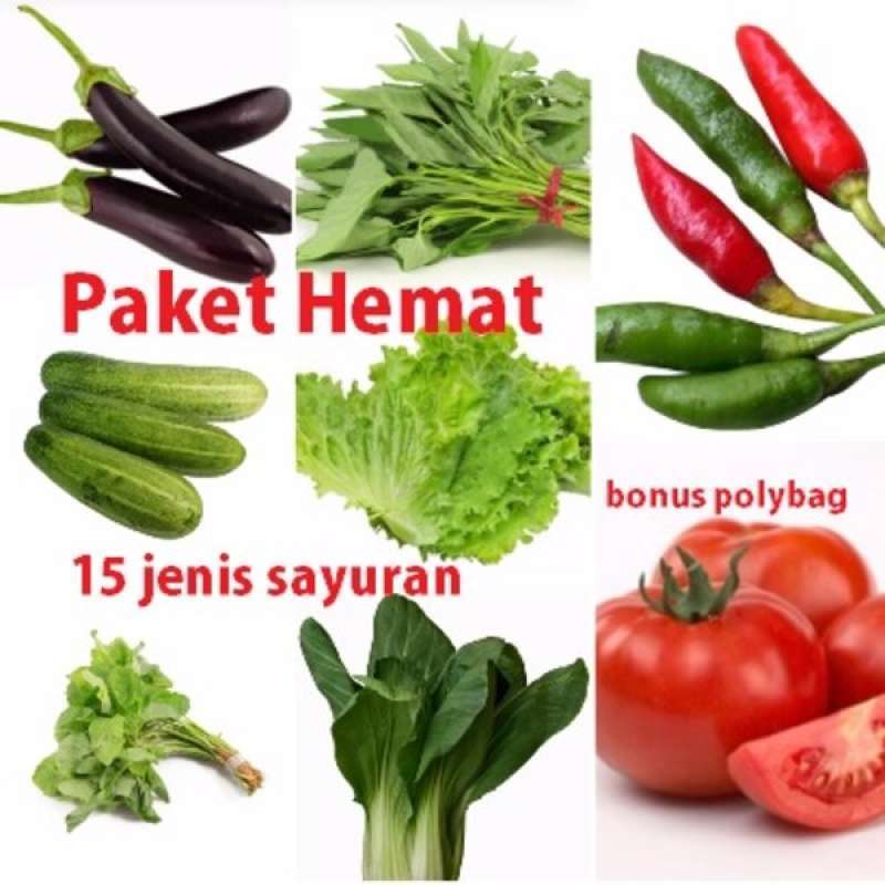 Jual Paket Benih Bibit Biji Sayuran 15 Sayur Daun Buah Tanaman ...