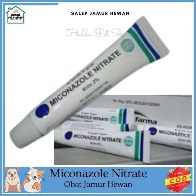 Promo Obat Jamur Kulit Salep Jamur Bisa Untuk Hewan Kucing Anjing ...