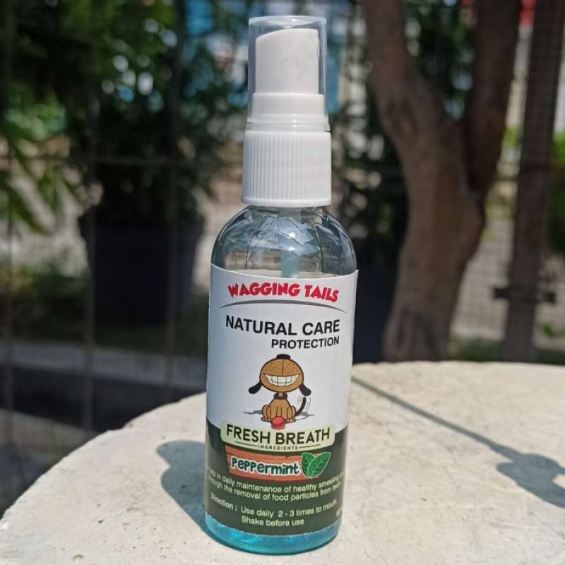 Jual Gratis Ongkir M-Pets 100 Gr Pasta Gigi Anjing Rasa Daging Sapi di ...