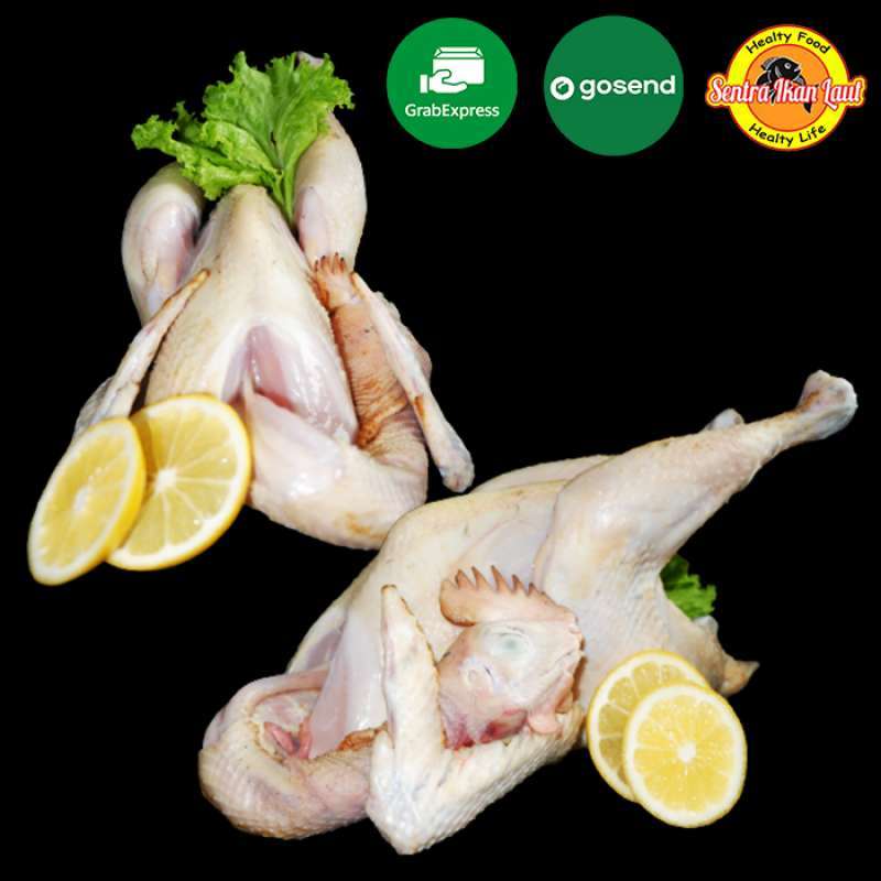 Promo Ayam Kampung Potong Utuh Karkas Asli Fresh 1 Ekor Diskon 10 Di