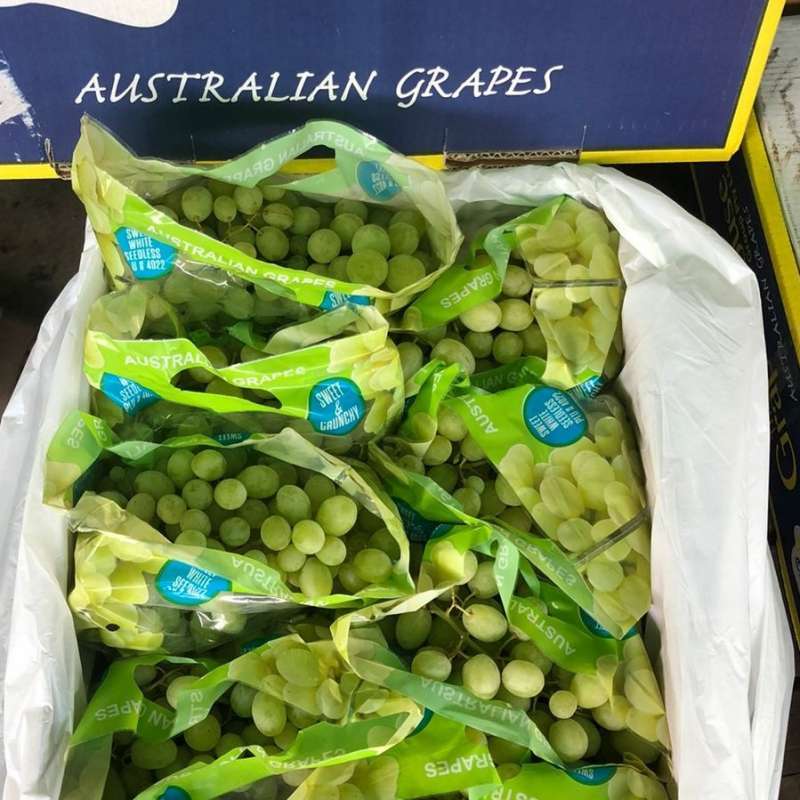 Jual Anggur Hijau Menindee Green Seedless Grapes The Grape House ...