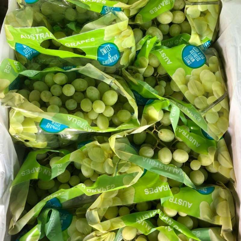 Jual Anggur Hijau Menindee Green Seedless Grapes The Grape House ...
