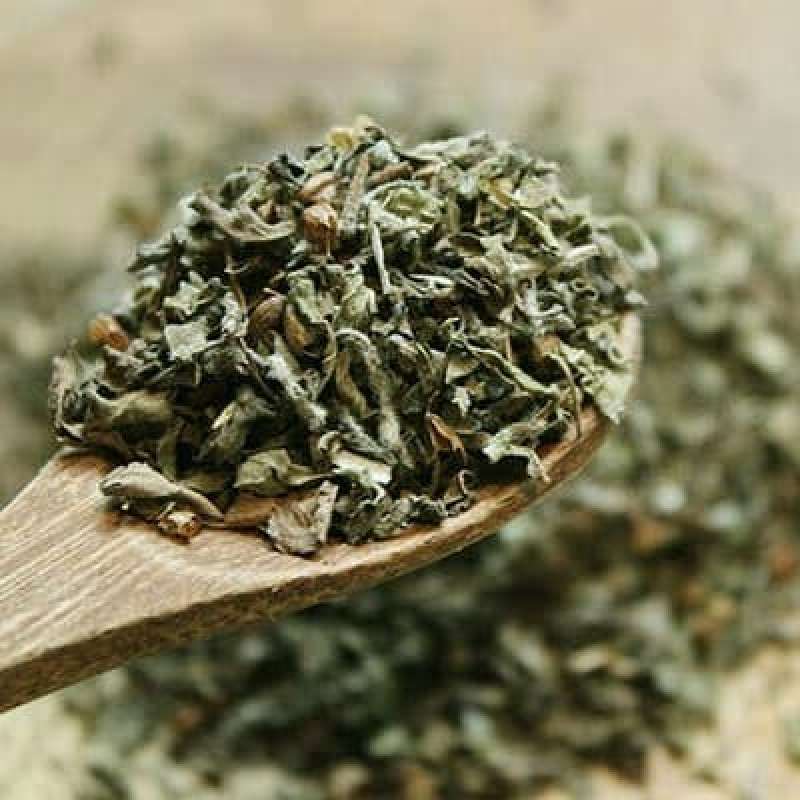 Daun Basil - Harga Terbaru Mei 2024 & Gratis Ongkir | Blibli