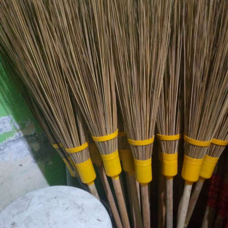 Jual Sapu Lidi Taman / Halaman Gagang Panjang Model Bulat Dan Oval Di ...
