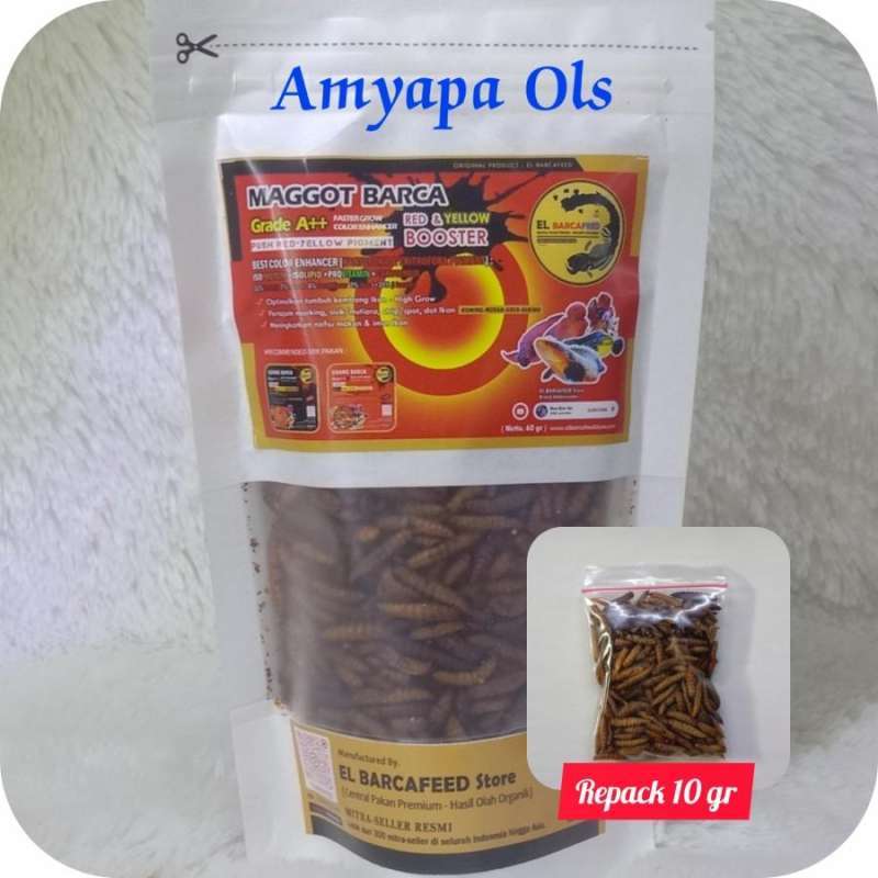 Jual MAGGOT BARCA Grade A++ [RED-YELLOW BOOSTER] HIGH PROTEIN+CAROTENE ...