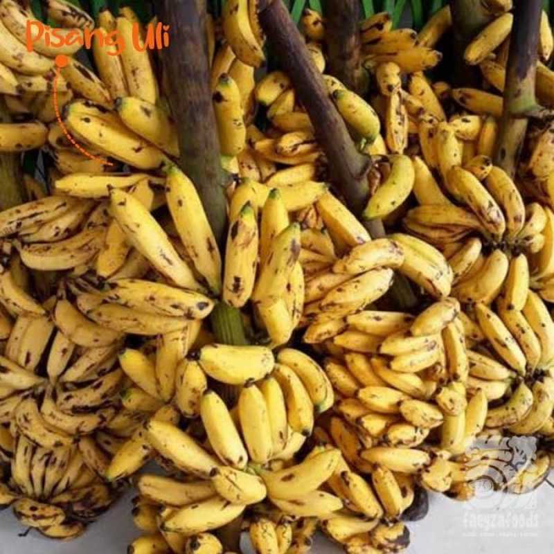 Jual Pisang Uli Segar / Pisang Raja Uli / 1 Tandan Halal di Seller ...