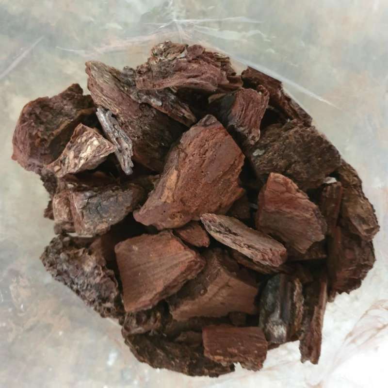 Jual kulit kayu pinus pine bark 1 kg di Seller Shosaz Farm Store - Paku ...