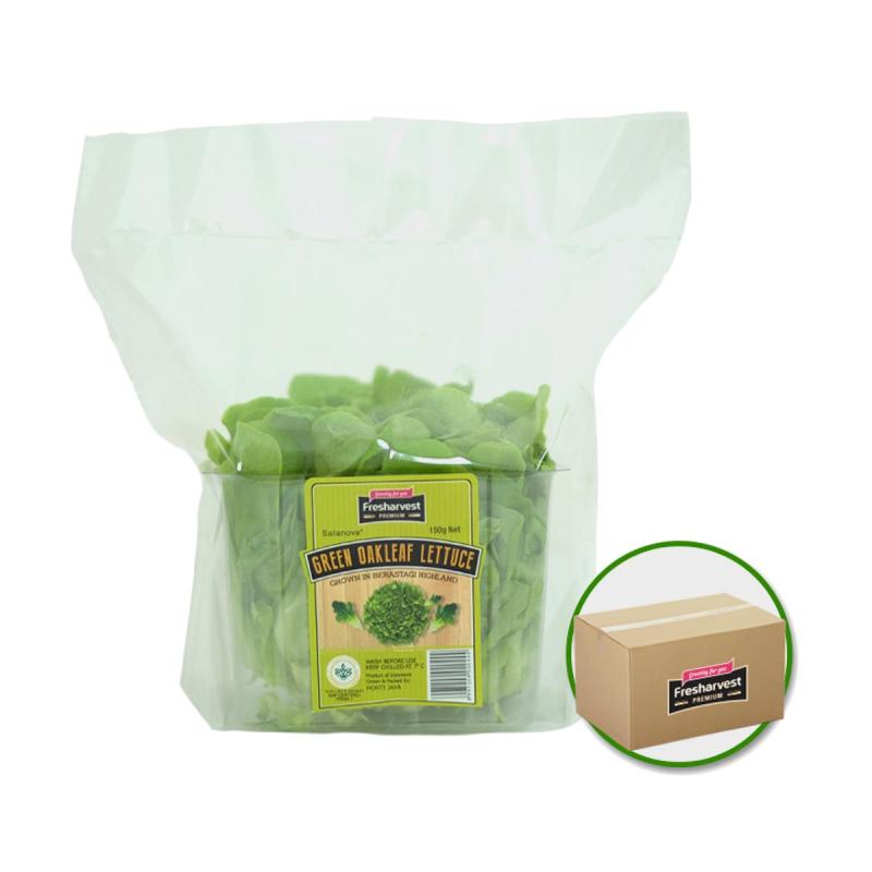 Jual [10 Pack] Sayur Selada Oakleaf Green Lettuce Fresharvest Halal Di ...