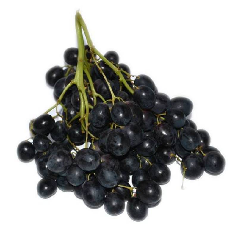 Jual Anggur 1 Kilo Termurah - Harga Grosir Terupdate Hari Ini | Blibli