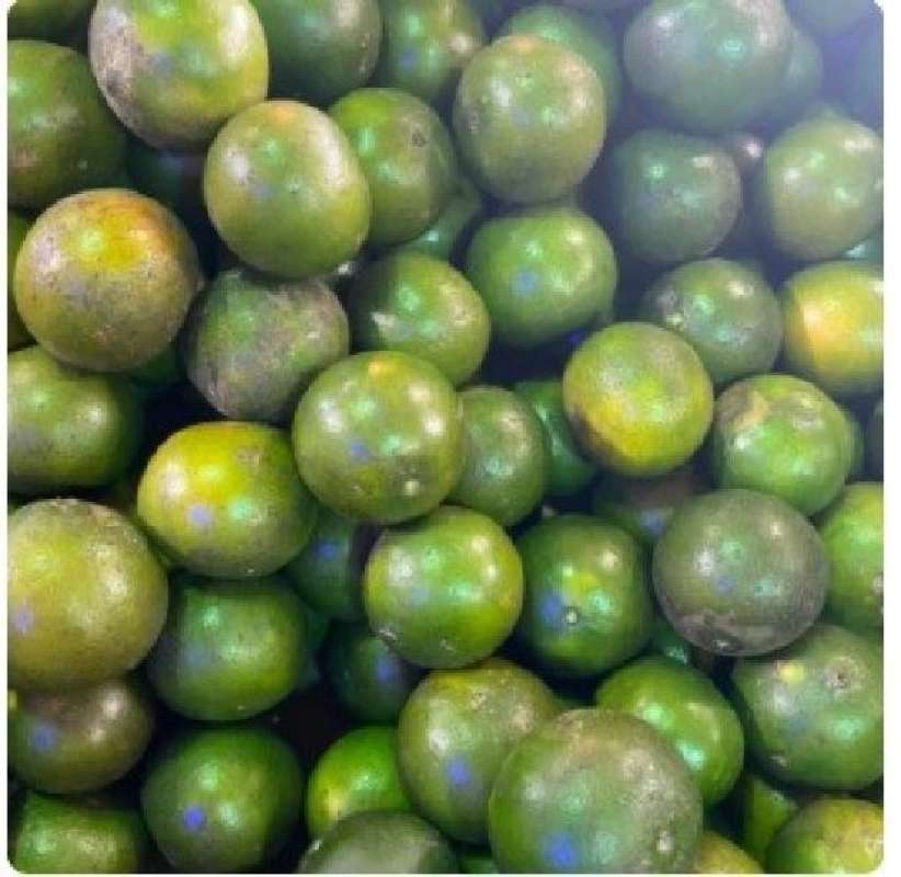 Jeruk Peras 1 Kg - Harga Termurah Agustus 2024 | Blibli