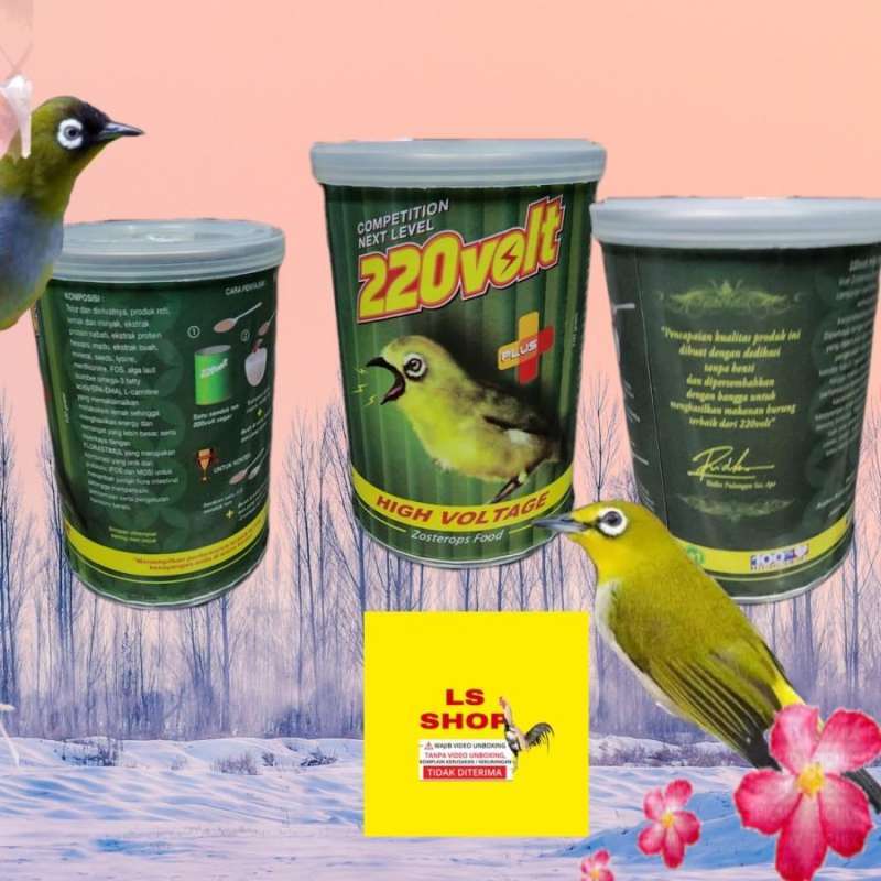 Burung Pleci Juara