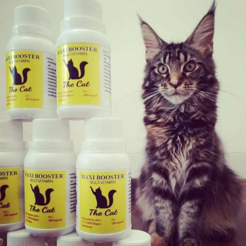 Promo The Cat Maxi Booster Vitamin Lengkap Diskon 50% Di Seller A2 Pet ...