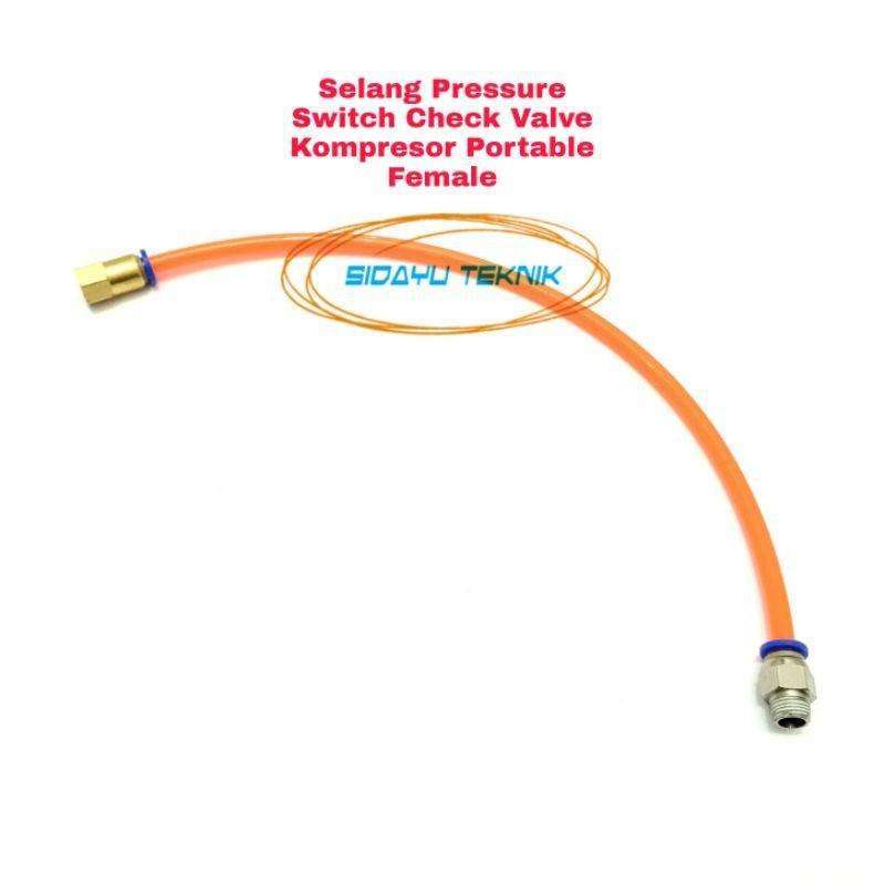 Jual Selang Pressure Switch Check Valve Kompresor Portable Male Female ...