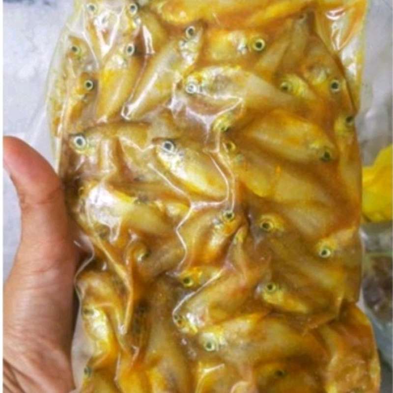 Jual Ikan Wader Baby Fish Bumbu Beku Frozen 500 gram Halal di Seller ...
