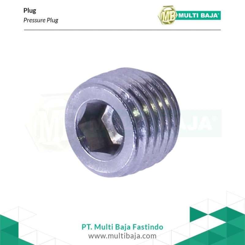 Jual Sus 304 Pressure Plug 3/8 Npt Di Seller Multi Baja Fasteners ...