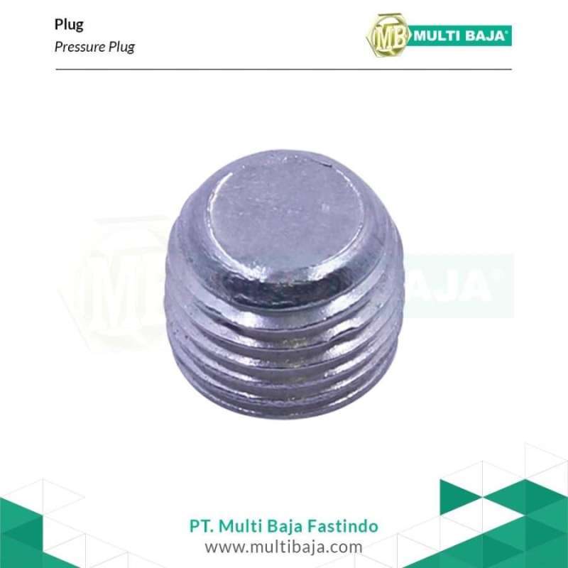 Jual Sus 304 Pressure Plug 3/8 Npt Di Seller Multi Baja Fasteners ...