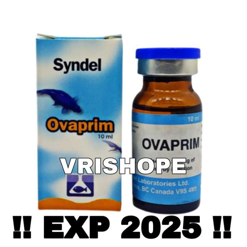 Jual Ovaprim Syndel 10 ml Hormon Obat Pemijahan Ikan Hias Aquarium di ...