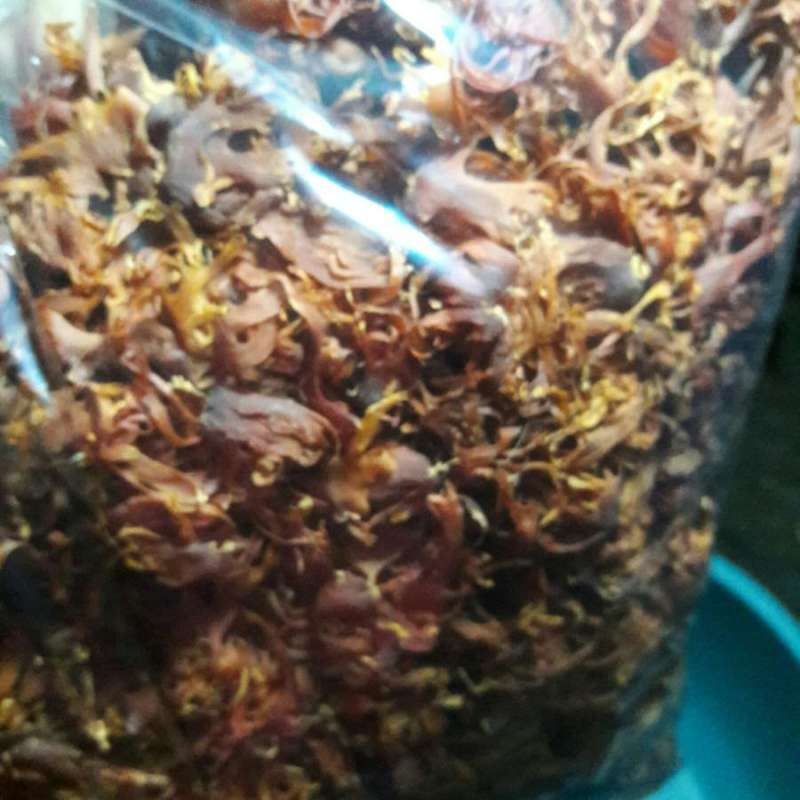 Jual Bunga Pala Kering 500 Grm Di Seller Black Orange - Jayasari, Kab ...