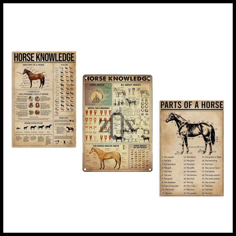 Jual Bagan Chart Poster Dinding Pengetahuan Knowledge Kuda Horse ...