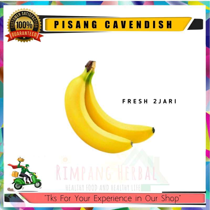 Jual Pisang Cavendish Sunpride 2 Jari Halal di Seller Rimpang Herbal ...