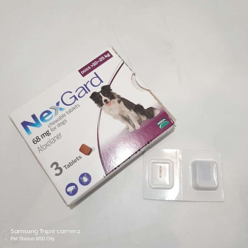 Promo NEXGARD CHEWABLE TABLET (10-25KG) - ECERAN 1 TABLET Diskon 12% di ...