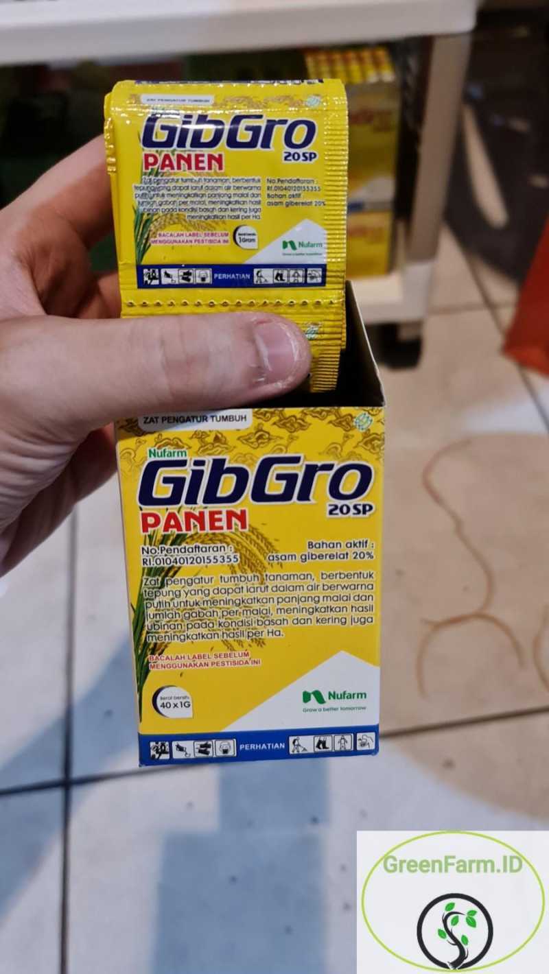 Jual Gibgro 20SP Panen 1 gram di Seller GreenFarm.ID - Glugur Kota ...